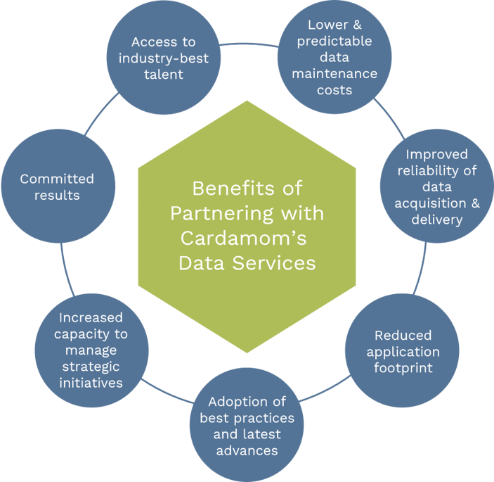 Data Services | Cardamom